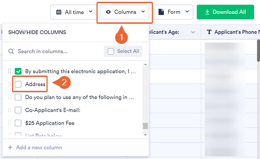 Address Field Not Visible In Submissions