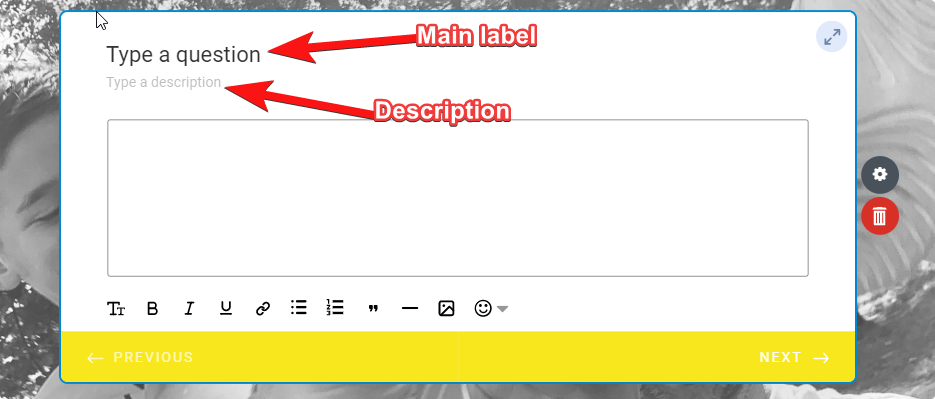 Bullet points in questions